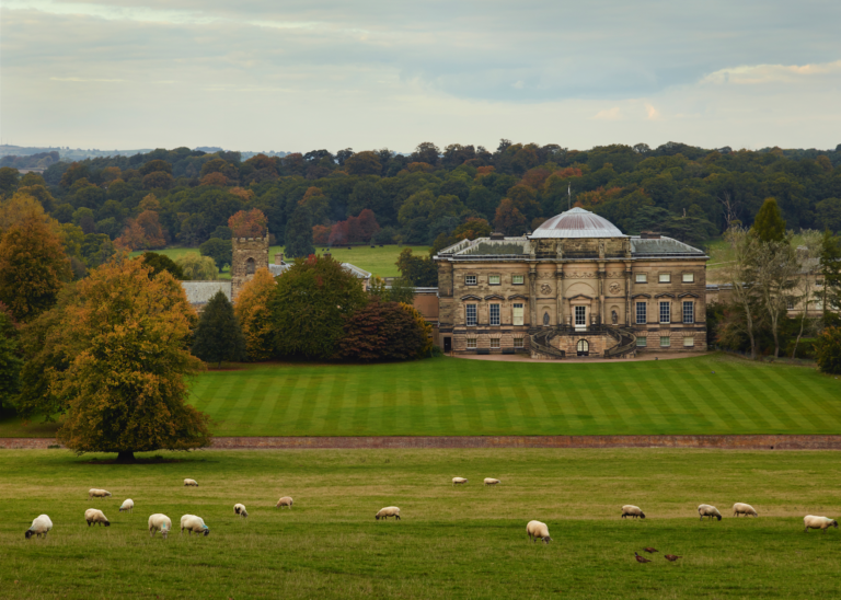 Robert Adam: Country House Design, Decoration & the Art of Elegance ...